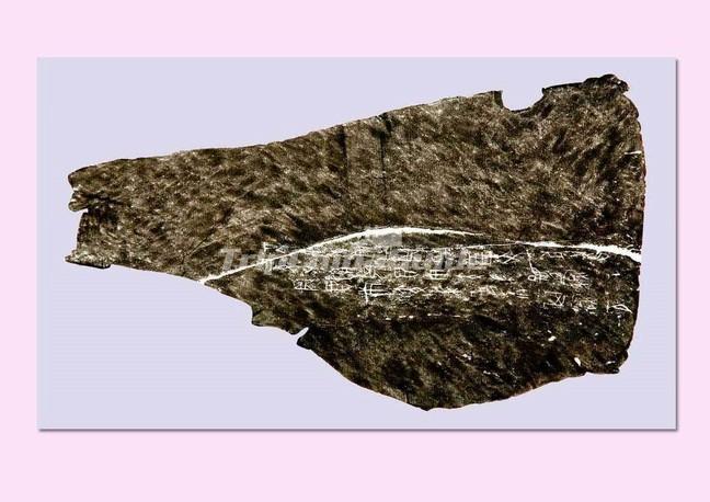 Oracle Bone Script Pictures Jiaguwen Ancient Chinese Characters Trip China Guide